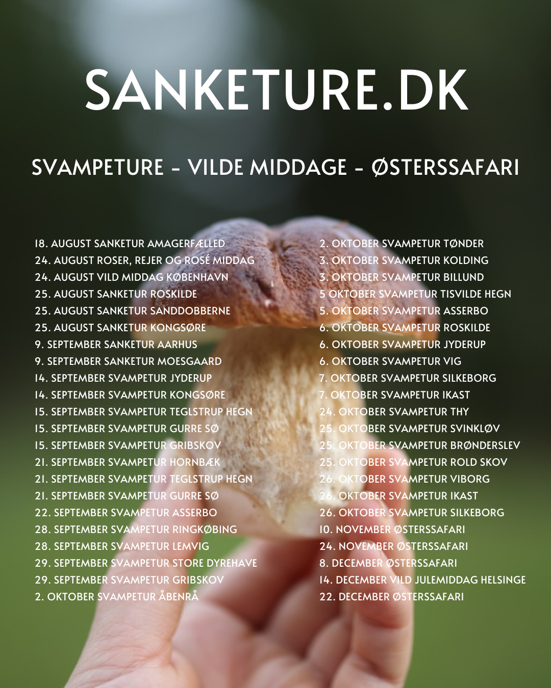 Forside - Sanketure