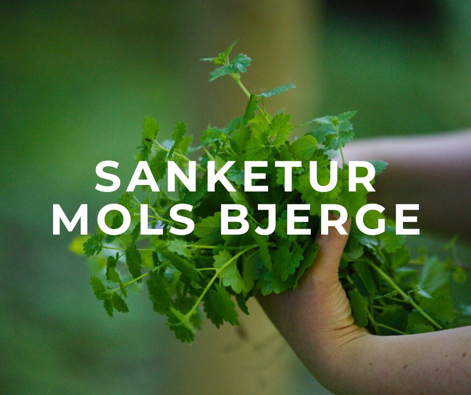 Sanketur Mols Bjerge - Sanketure